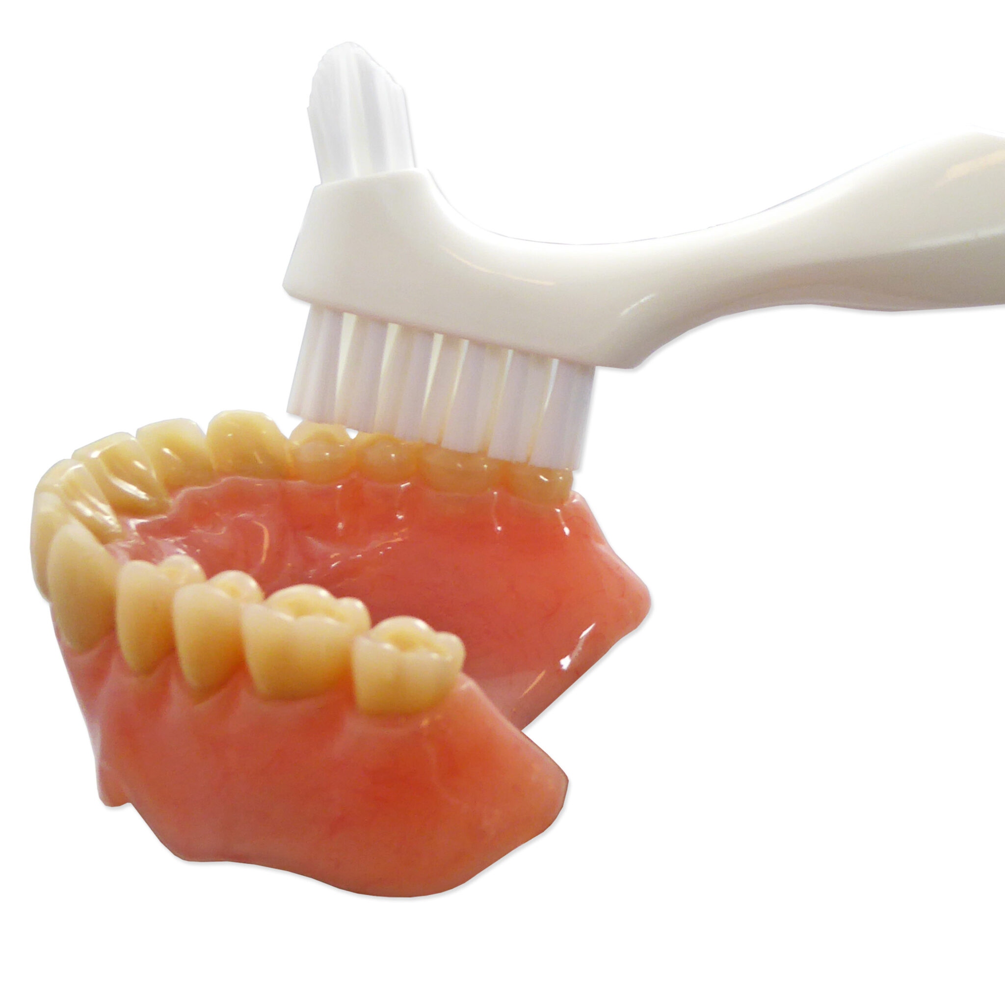 Grey Denture Bath & Denture Brush - Dental Aesthetics